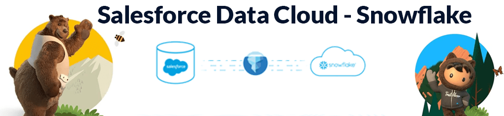 Salesforce Data Cloud - Snowflake - Phaneendra Arigachetta