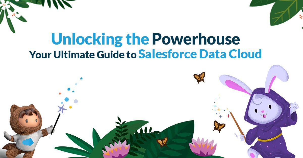 Unlocking the Powerhouse: Your Ultimate Guide to Salesforce Data Cloud - Phaneendra Arigachetta